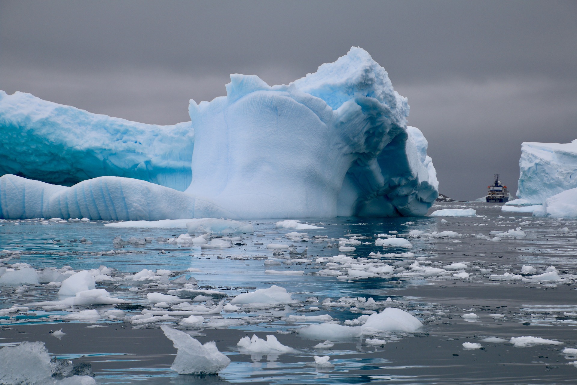 Antarctica Expeditions 2026/2027 | Bespoke Polar Travel | Earth Trip